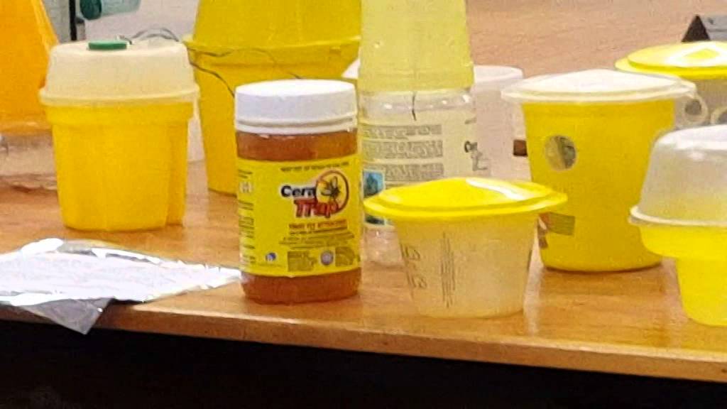 HIN discussion QFF Traps with Andrew Jessup NSW