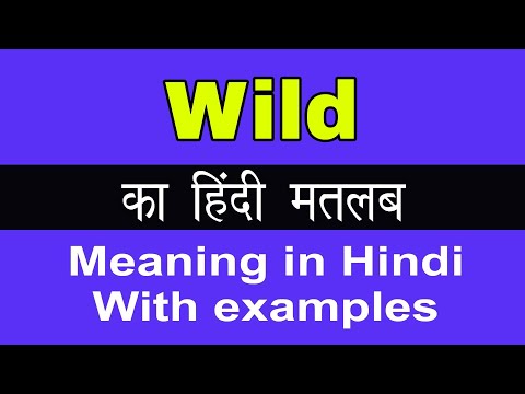 Wild Meaning in Hindi/Wild का अर्थ या मतलब क्या होता है