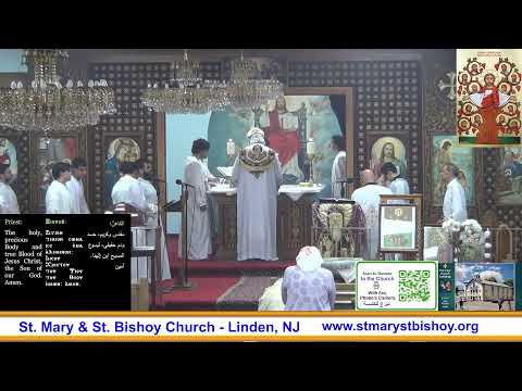 The Divine Liturgy - Saturday - June 21, 2025 القداس الإلهى - السبت