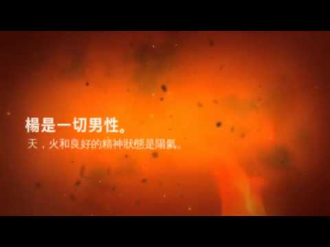 Yin Yang Chinese Translation