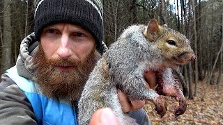 The Wooded Beardsman - Wildlife Survival Canada 2022