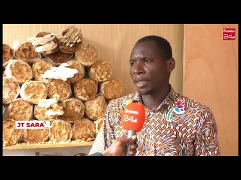 SARA 2025 : Les champignons s'invitent au salon avec l'AMYCI