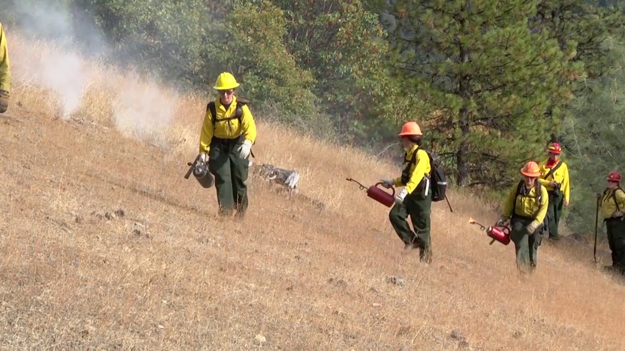 Women-in-Fire Prescribed Fire Training Exchange (WTREX)