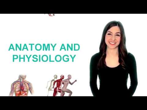 Anatomy and Physiology Online ITEC Level 3 Gateway Workshops Course