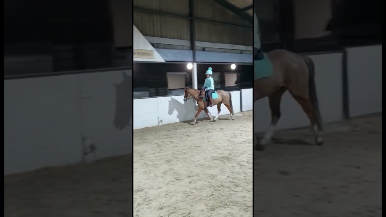 Side saddle 😝 #equestrian #flyhigh #ourmoon