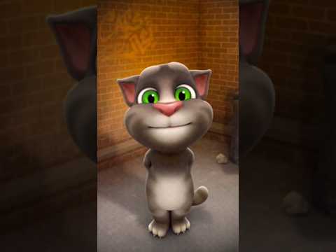 Tom Cat Scratch Mobile Screen #tom #cat #scratch #mobile #screen