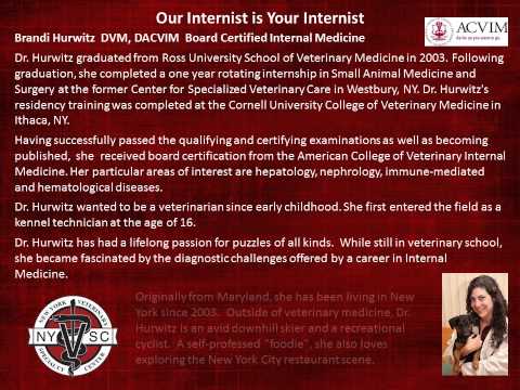 Brandi Hurwitz DVM DACVIM Board Certified Internal Medicine