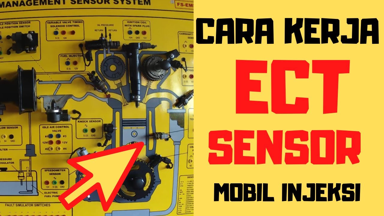 Function and How the ECT Sensor Works | Engine Coolant Temperature Sensor in Fuel-Injected Cars