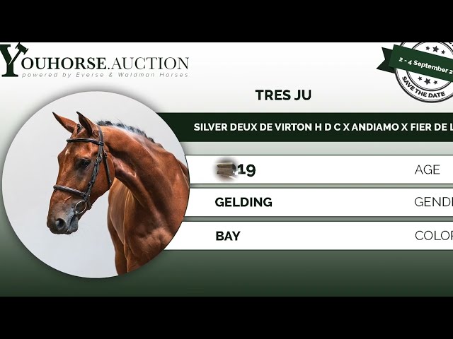 Youhorse.auction | Très Ju