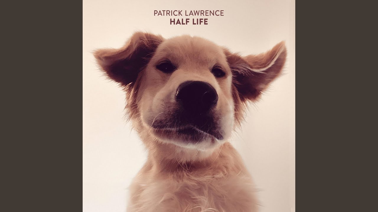 Patrick Lawrence - Half Life | Rock music review on Nagamag