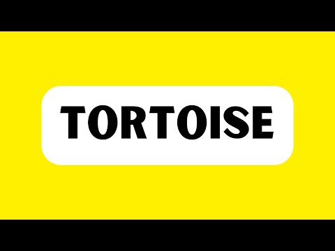 How to Pronounce Tortoise (Correctly)