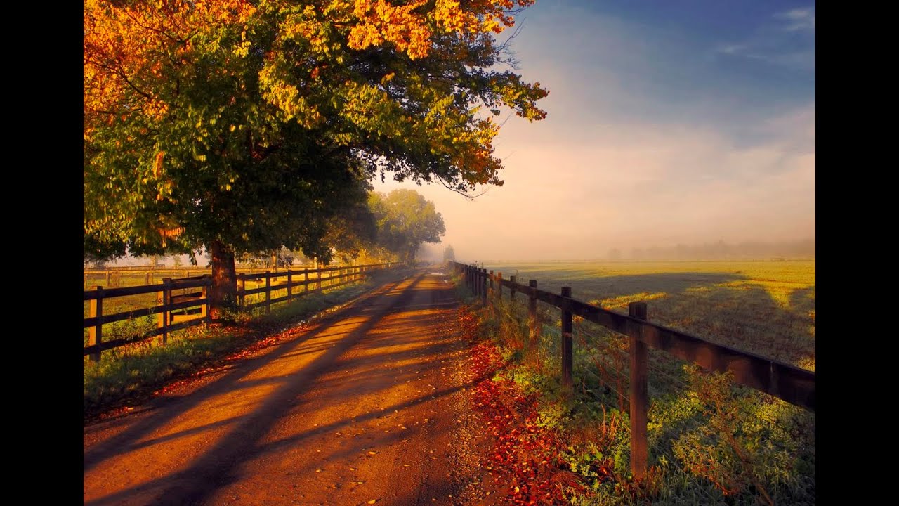 Kata Kata Bijak - Kata Kata Bijak Penuh dengan Motivasi