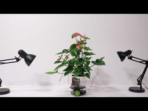 The Leafy Green Cyborgs Are Coming