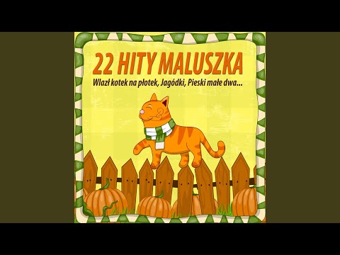 Kaszubskie nuty