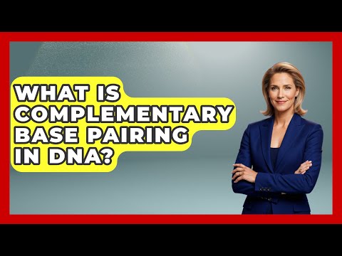 What Is Complementary Base Pairing In DNA? - Biology For Everyone