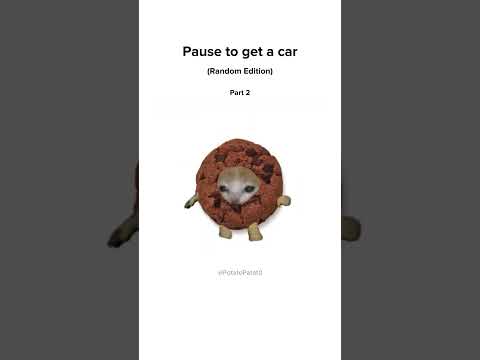 WHICH CAR DID YOU GET? #cat #memes #random #pause #fun