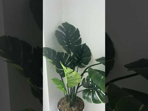 Honest review or Artificial Tree in White Marble Effect Planter, Fake Monstera Silk Tree