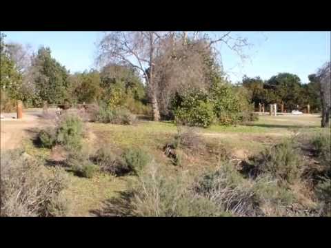 A GOOD LOOK AT SAN MATEO CAMPGROUNDS