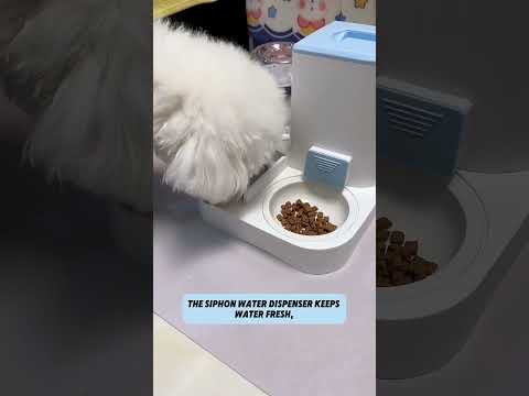 2-in-1 Automatic Pet Feeder: Perfect for Busy Pet Parents!