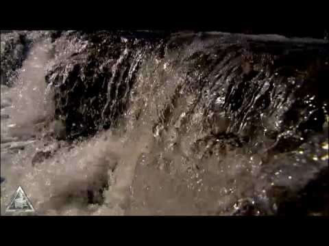 The Beauty of Shoal Creek