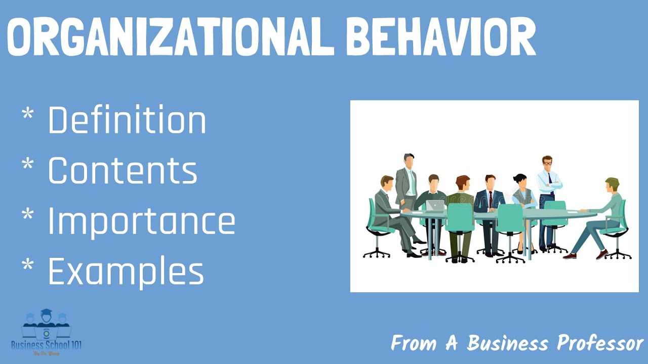 Understanding Organizational Behavior: Key Insights and Real-World ...
