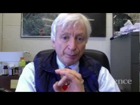 The Data on Vitamin D