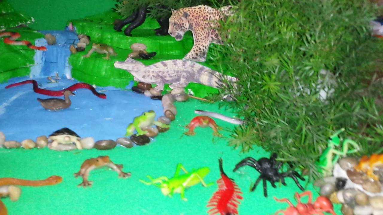 Maqueta selva del peru