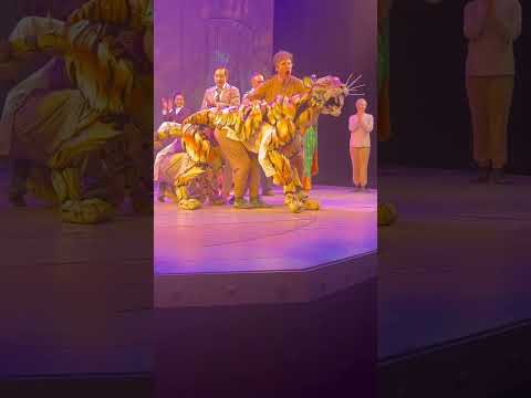 Tiger ‘s Curtain Call- Life of Pi #broadway #lifeofpi #puppeteer #theatre