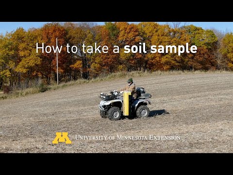 How to take a soil sample