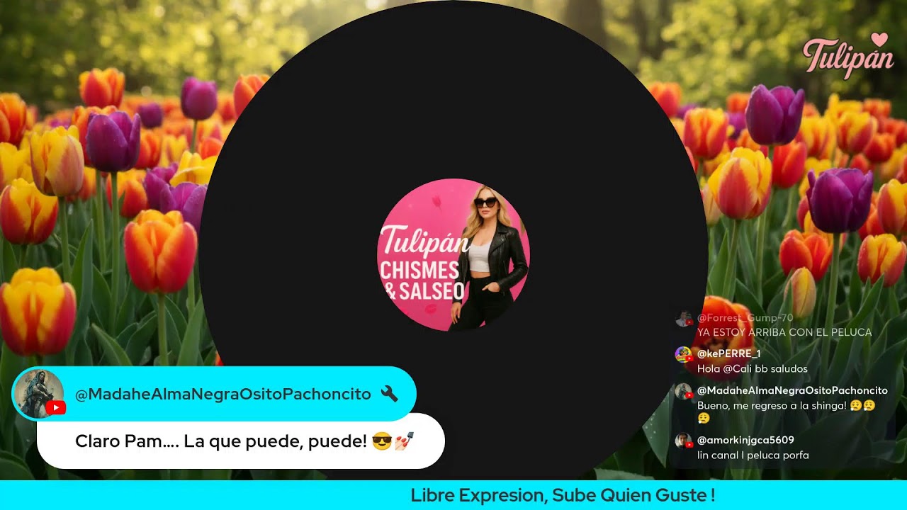Sufres de Alzheimer, hoy te haremos recordar todo!