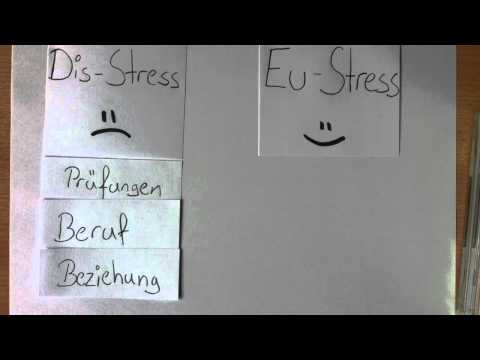 Stress Typen - Welche Stresstypen gibt es?