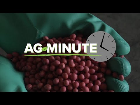 Ag Minute #995 Why do farmers plant red soybeans? (Air Date 3-15-20)