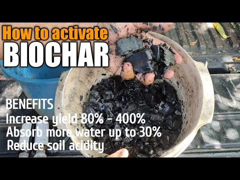 Paano i ACTIVATE ang Biochar at ano ano ang mga benefits ng pagamit ng biochar