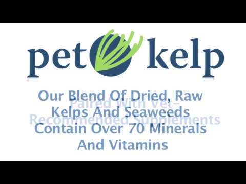 Pet Kelp supplements for dogs and cats- overview