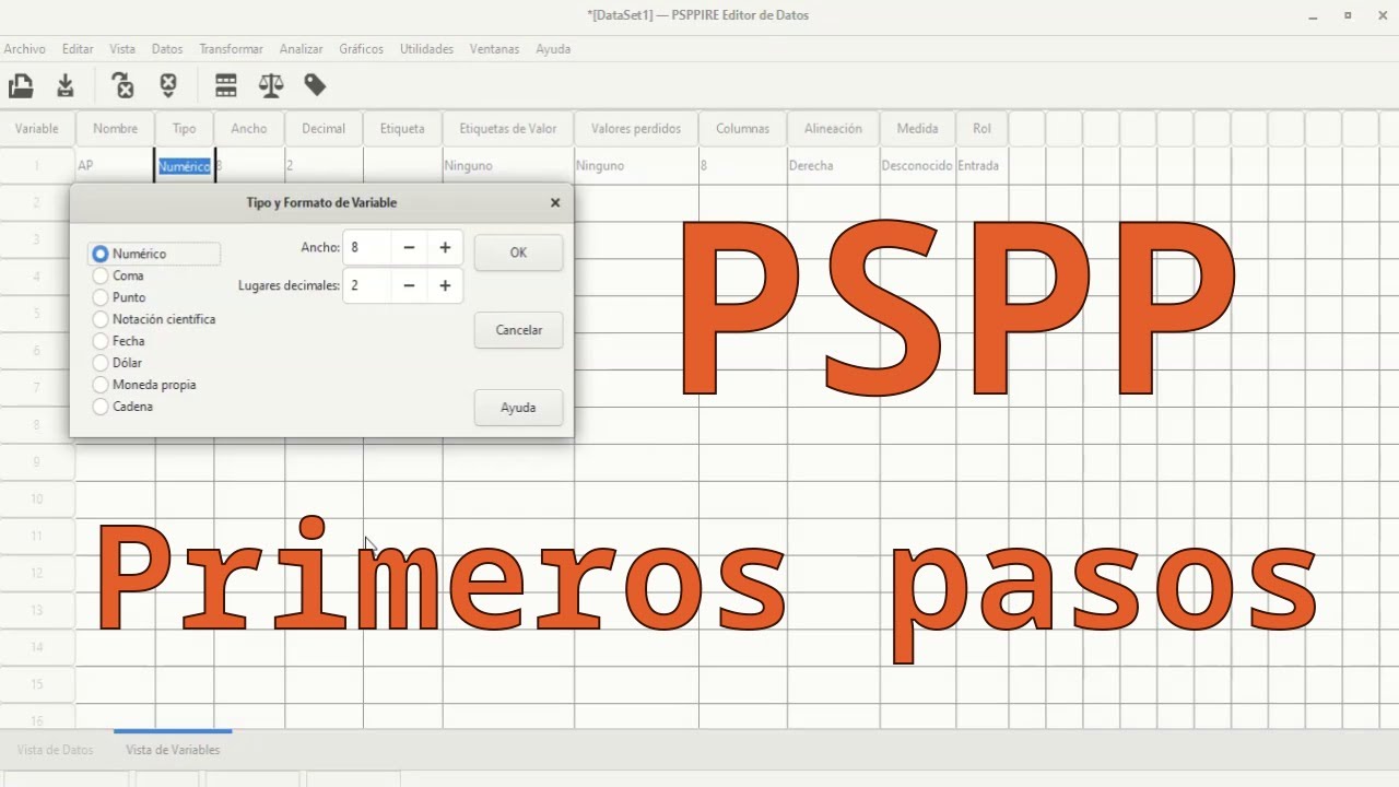 PSPP - Parte 1: primeros pasos