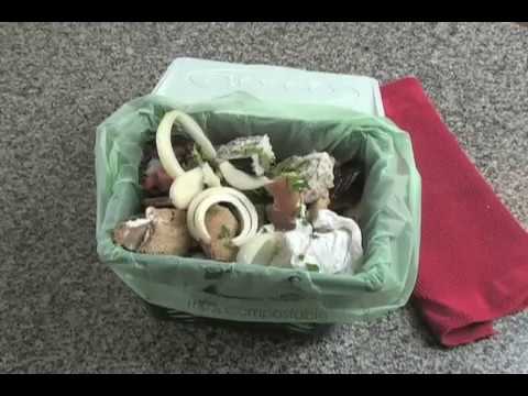 What goes in my food and yard waste cart? (Spanish)
