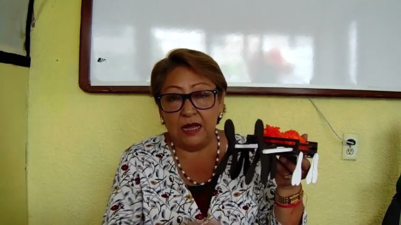 Que es el material didáctico, sus tipos y objetivo.
