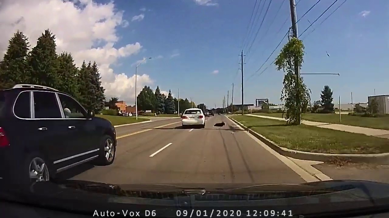 Cargo Securement Fail