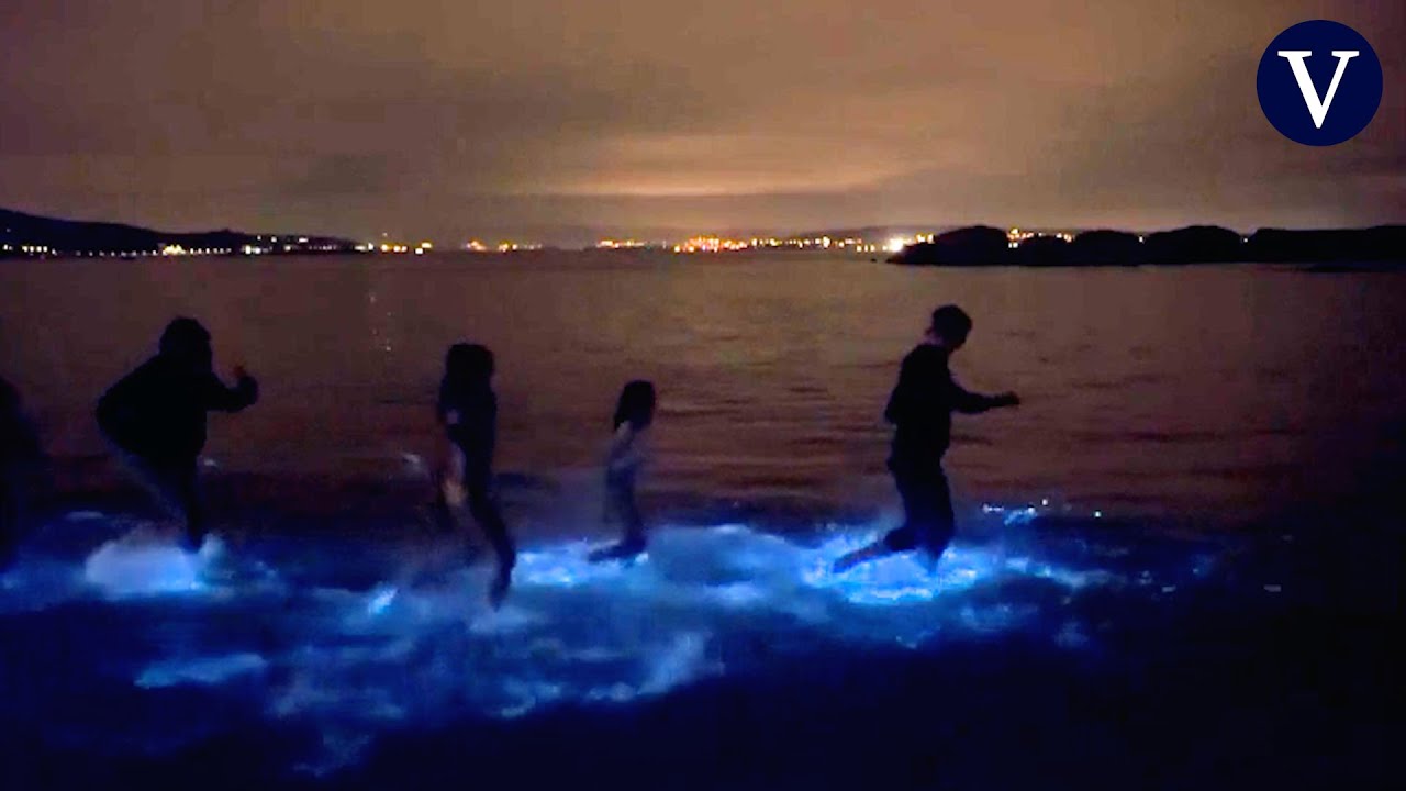 Las algas luminiscentes tiñen de azul la Costa da Morte