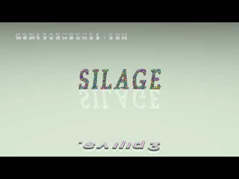 silage - pronunciation + Examples in sentences and phrases