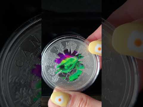 Unboxing Canada’s Northern Lights coin—shimmering beauty in your palm! #CoinUnboxing #CanadaMint