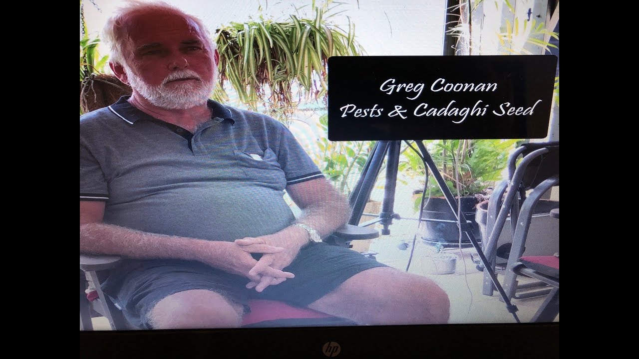 Greg Coonan Talking Pests & Cadaghi Seed in Native Bee Hives