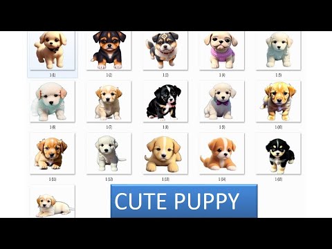Cute Puppy Images | Dog PNG Images Bundle Pack 1