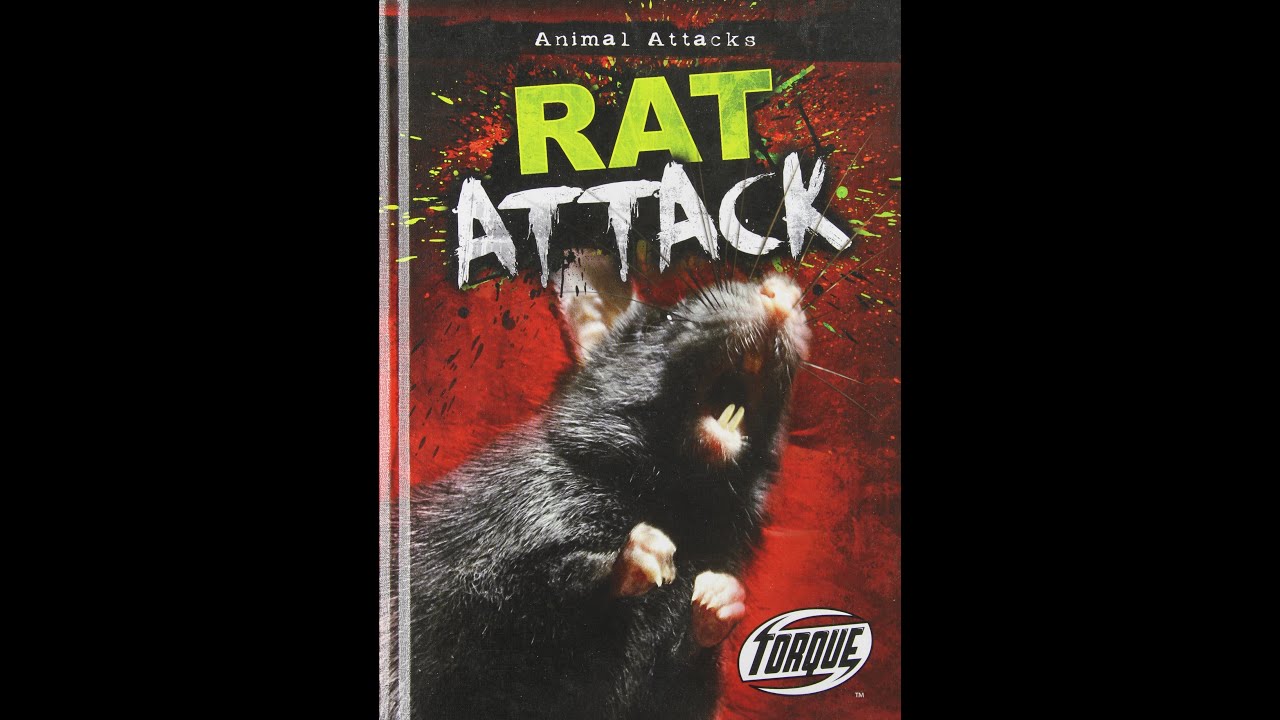 Hit'em with the Rat Attack (Weapon Malfunction)
