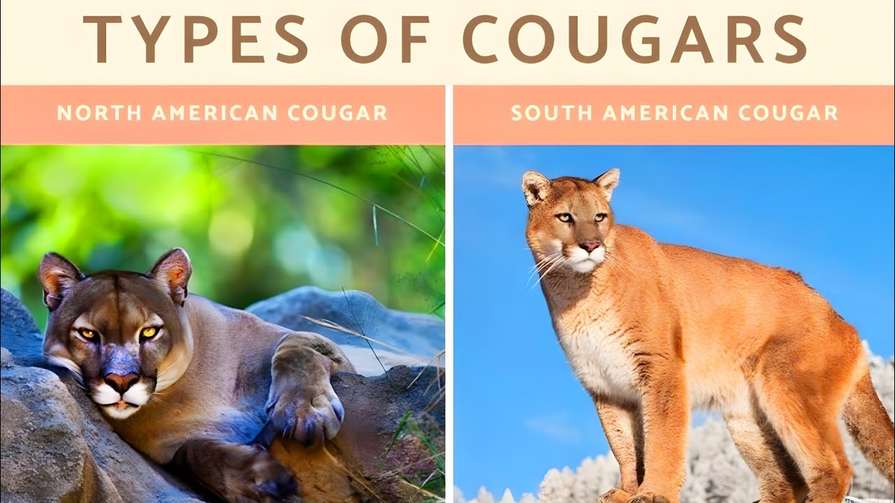 TYPES OF 