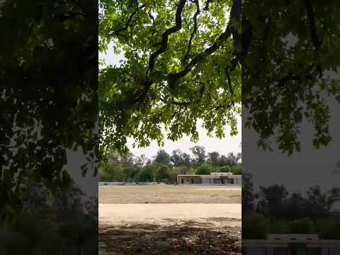 scd government college view..