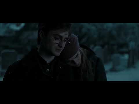 Harry Potter and the Deathly Hallows Part1 in 1 Minute