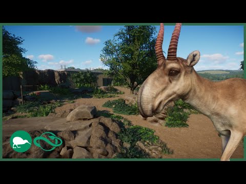 Steam Community :: Video :: saiga habitat | willow creek city zoo | Ep ...