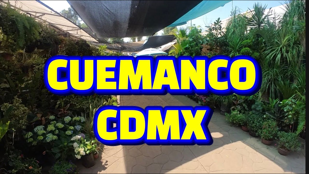 Cuemanco Plant Market, Xochimilco, Mexico City #visitMexico #Xochimilco #MexicoCity