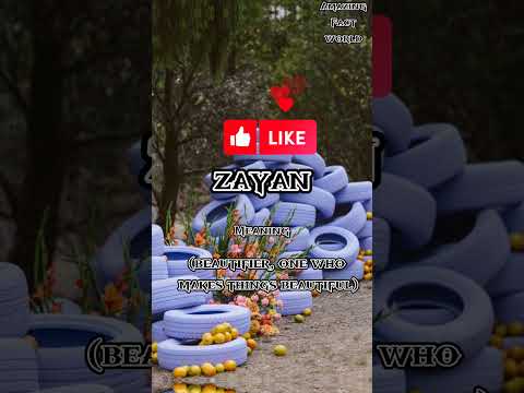 10 beautiful boy names with letter Z #z #muslim #islam #subscribe #viral #support #names #shorts